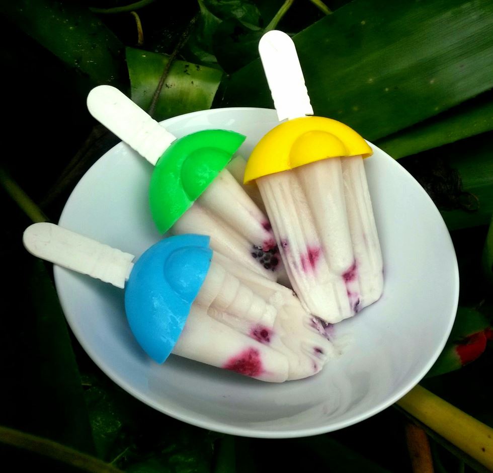 100% Whey Protein Ice Blocks – Balance Sports Nutrition